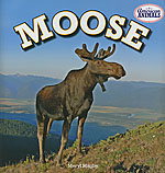 Mooseman.de - Gallery - Moose - Books