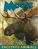 Mooseman.de - Gallery - Moose - Books